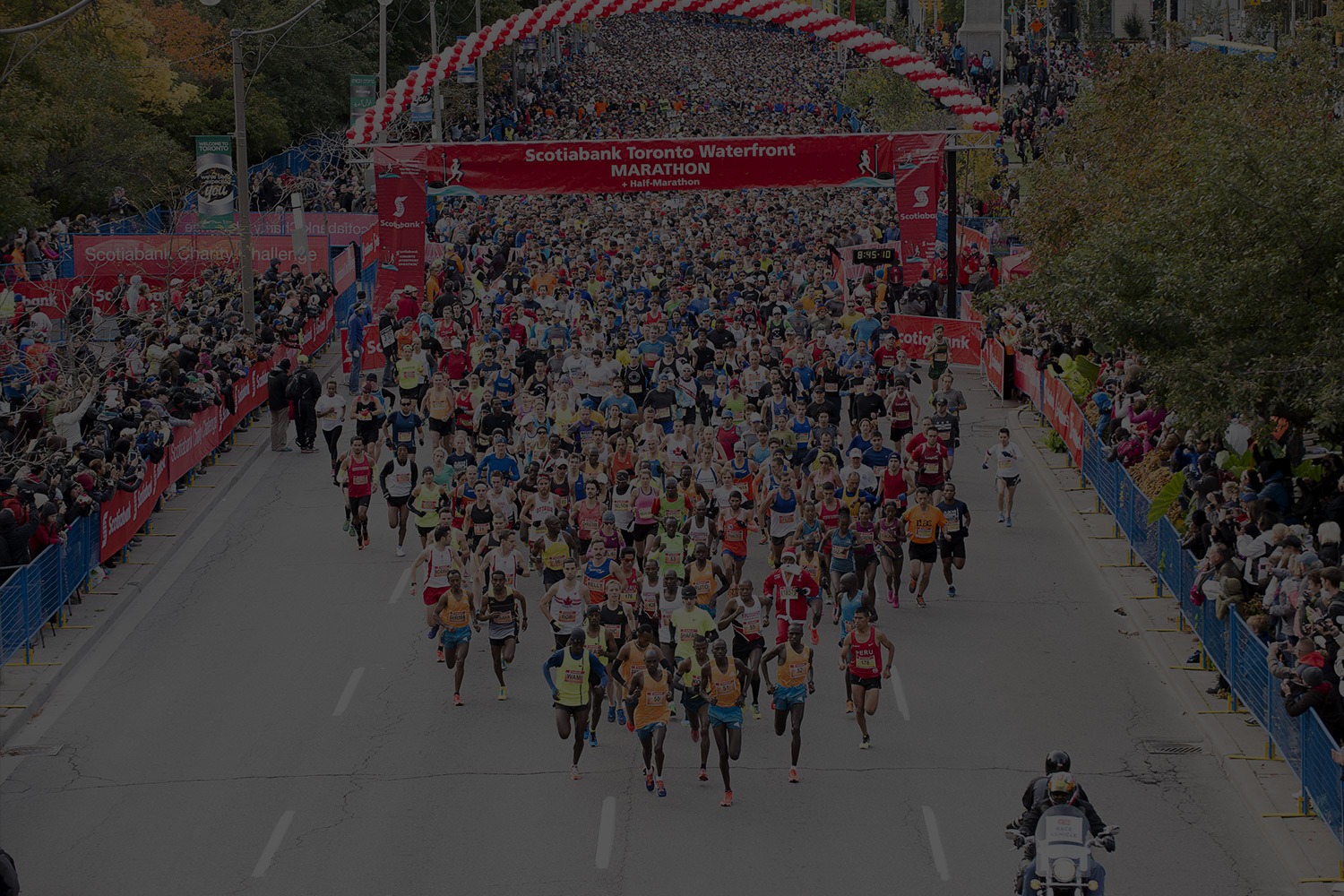 STWM-startingline - TCS Toronto Waterfront Marathon